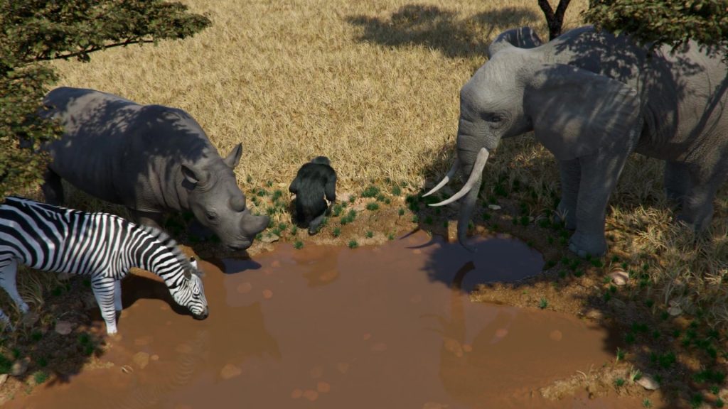 Making of SOS Animals Augmented Reality Experience - Imaginar